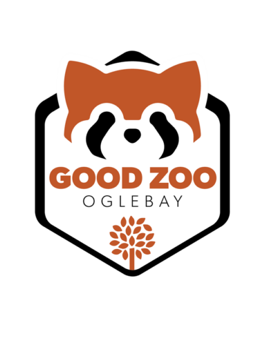 Good Zoo Roaring With Excitement For New Lion Exhibit In 2026 | News ...